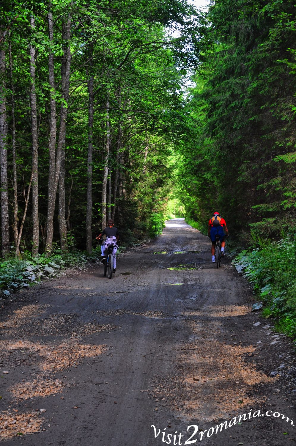 Mountain Biking on Azuga Valley, Brasov Medieval Town(bonus “Solomon’s ...